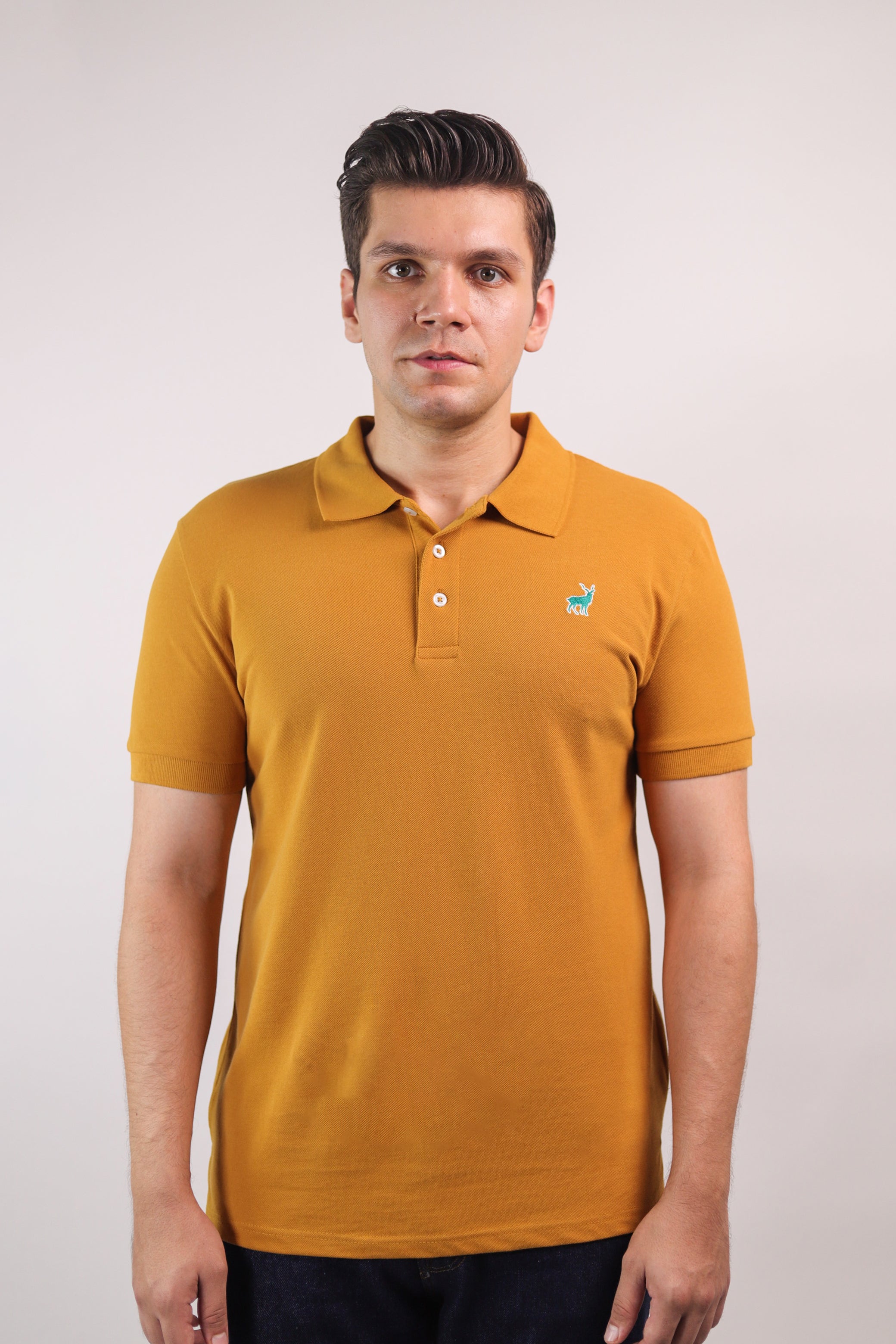 Active Fit Green Polo Shirt for Men Online in DHA Pakistan - Jerdoni