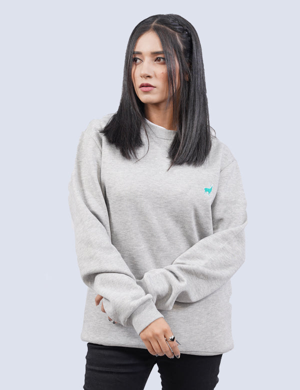 Sweatshirt For Men Online Shopping In Pakistan With Free Shipping | Jerdoni